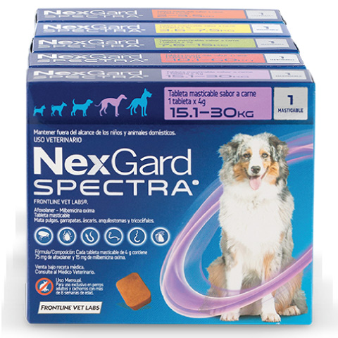 NexGard SPECTRA® | Complete Parasitic Protection Solution for Dogs